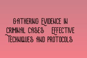 Gathering Evidence in Criminal Cases: Effective Techniques and ...