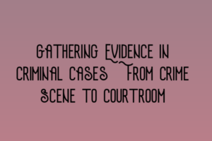 Gathering Evidence in Criminal Cases: From Crime Scene to Courtroom ...