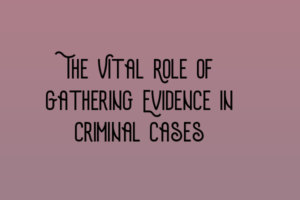 The Vital Role of Gathering Evidence in Criminal Cases - Navigating ...